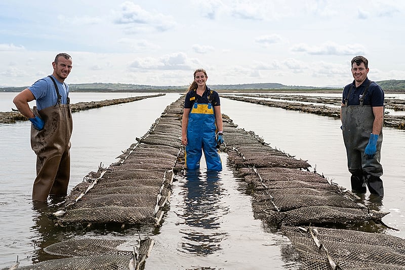 Aquaculture meets tourism in new shellfish tour on Ireland’s southwest ...