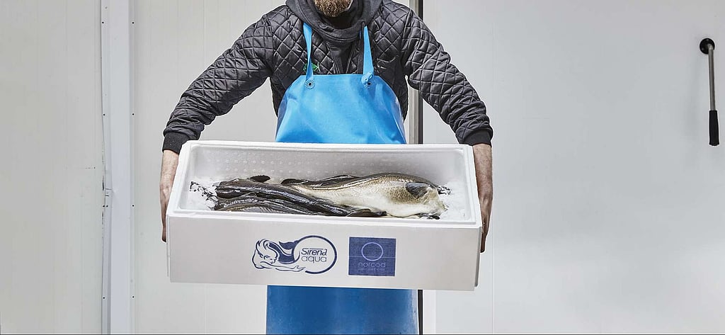 Norcod plans major capital raise after improved Q4 results