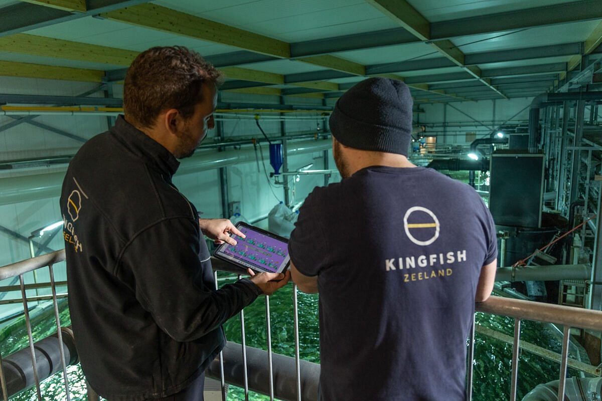 The Kingfish Company "scales up and streamlines operations" in Q1 2025