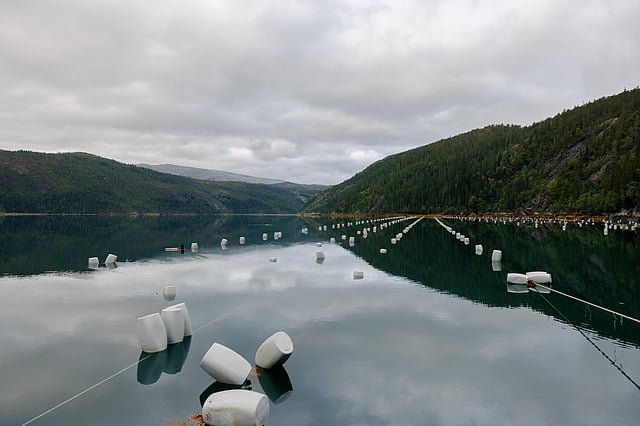 Planktonic: taking CryoPlankton from research idea to revolutionary ...