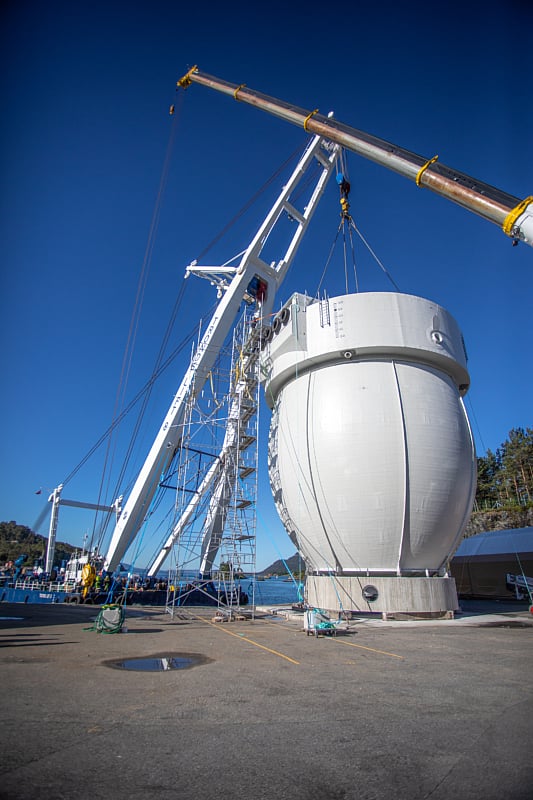 And 'The Egg' goes to... Prophylaxia!