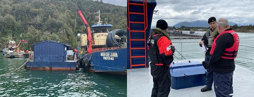 More than 486 tons of coho salmon and trout died in Chile