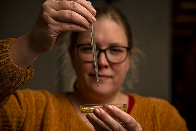 Microalgae: "huge" potential as feed ingredient through selective breeding