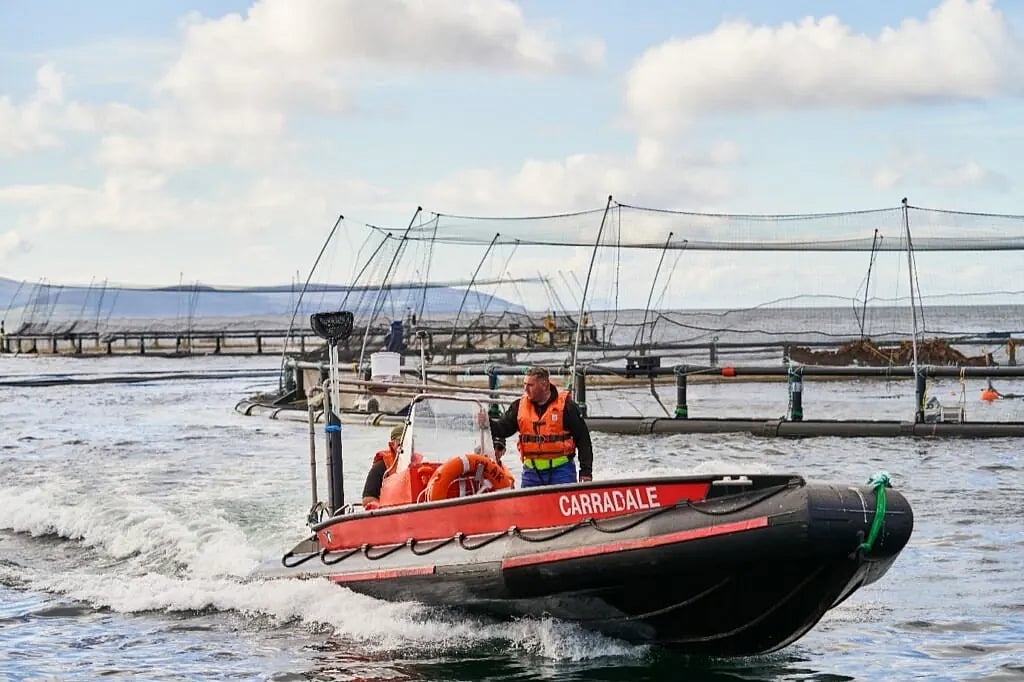 Mowi gets go-ahead for new Scottish salmon farm