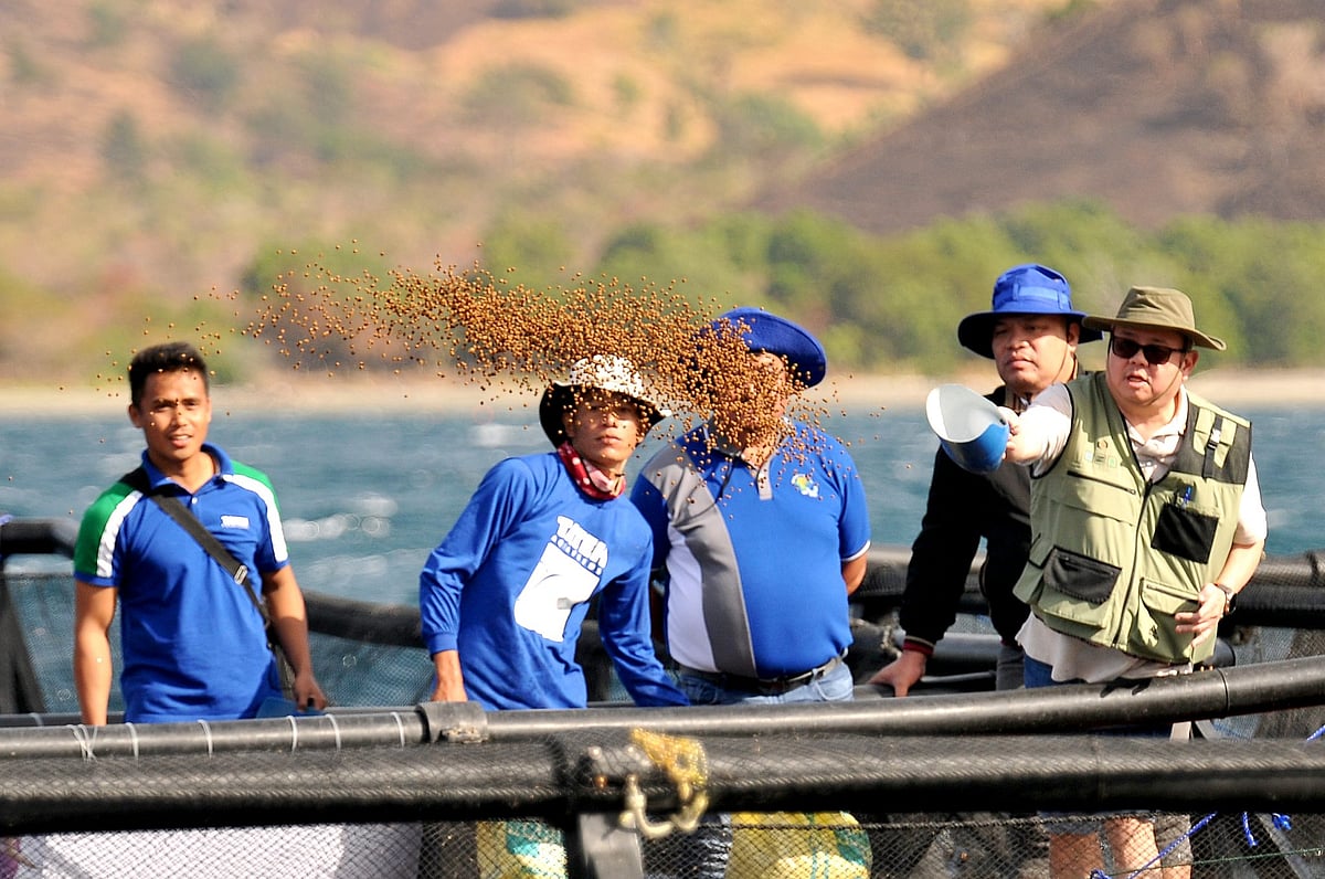 Philippine Government Boosts Mariculture & Fishery Projects for ...