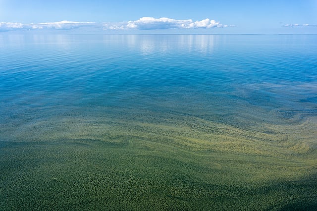 Climate change's impact on phytoplankton poses major threat to fish ...