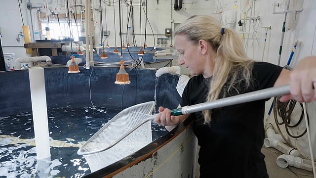 TalentView: Megan Sorby, Pine Island Redfish