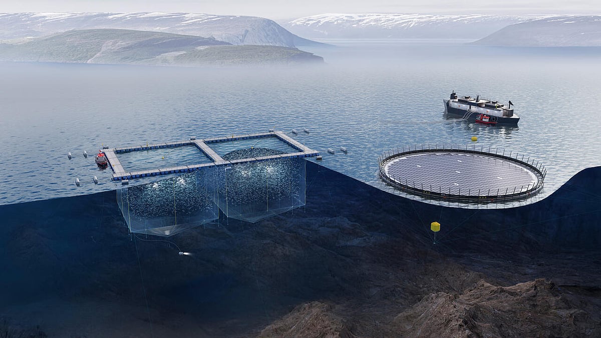 AKVA group to electrify the Chilean aquaculture industry - WeAreAquaculture