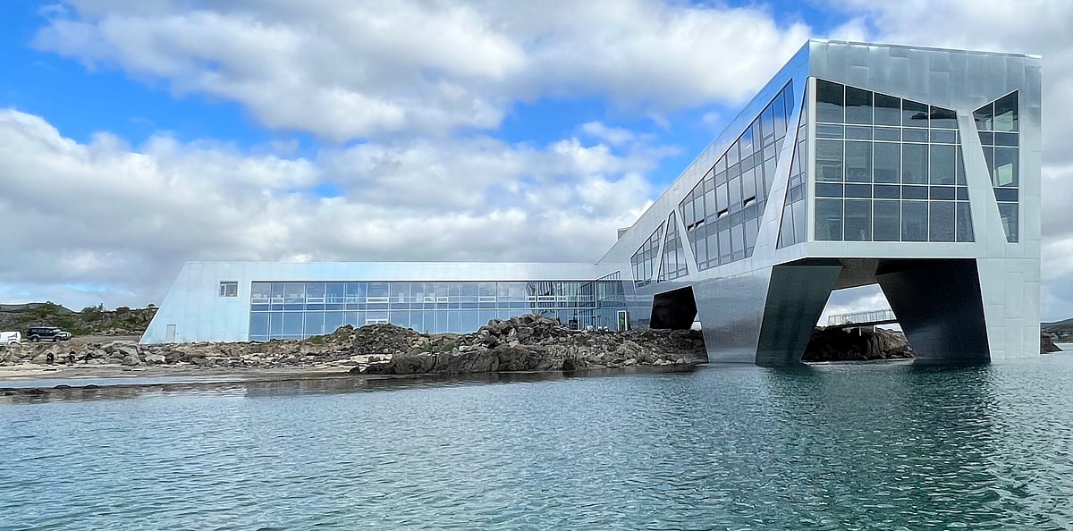 Summa Equity invests in fish health supplier STIM - WeAreAquaculture