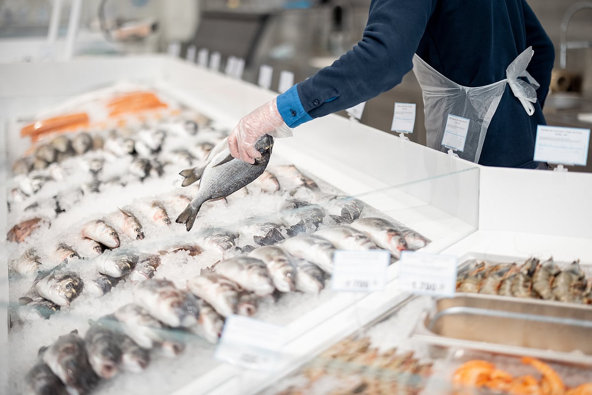 SFP and Wholechain join forces on seafood supply chain traceability