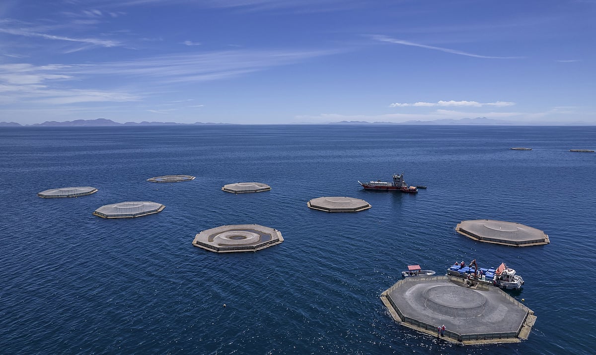 Earth Ocean Farms is now Santomar