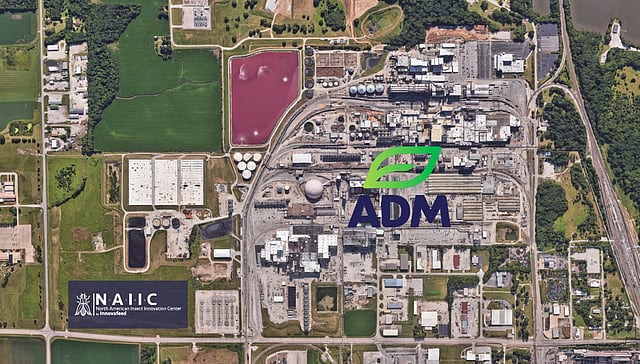 Innovafeed opens its Insect Innovation Center in the U.S.