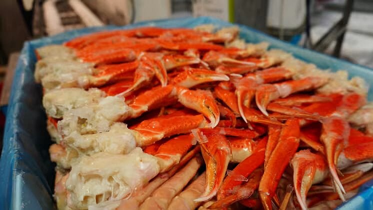 Norwegian snow crab fishery obtains MSC certification - WeAreAquaculture