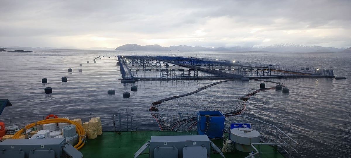 Chile sanctions Blumar for overproduction - WeAreAquaculture
