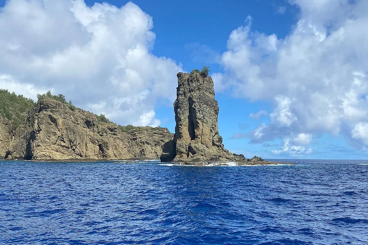 Environmental DNA sequencing to solve aquaculture challenges ...