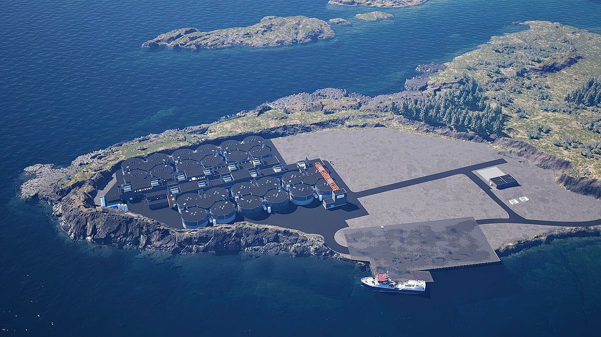 Salmon Evolution Phase 2 moves into the construction stage