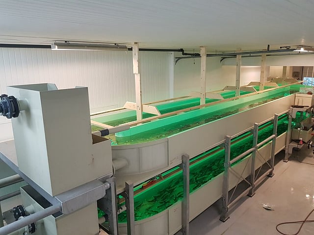 Salmon "raceway" RAS farming pilot achieves successful results