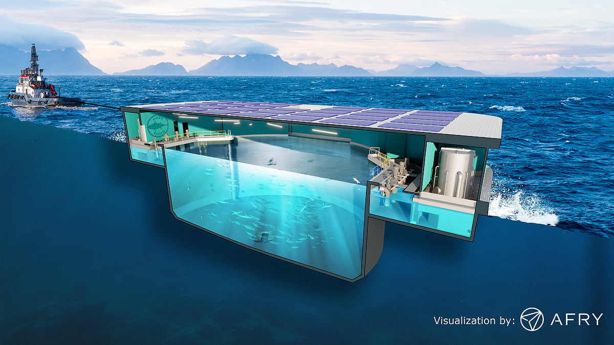 Can tuna be farmed? Next Tuna says yes – with its floating marine RAS