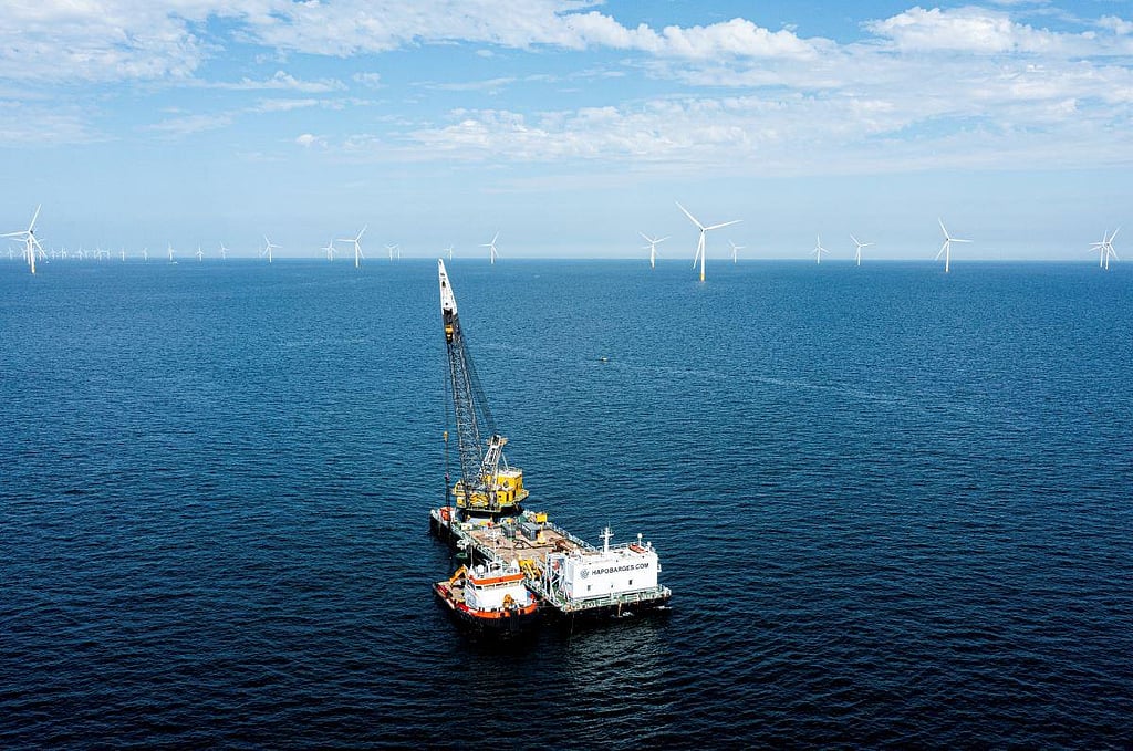 World's first commercial-scale seaweed farm to open within North Sea ...