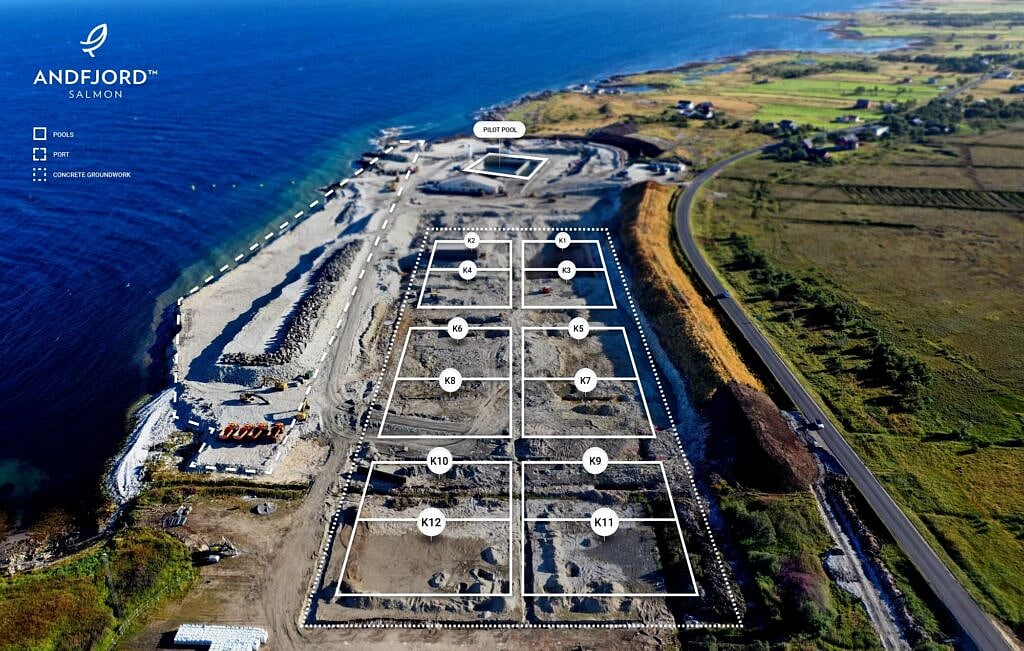 Andfjord Salmon raises NOK 385m after securing strategic partnership on ...