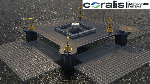 Portuguese offshore aquaculture project achieves penultimate permit ...