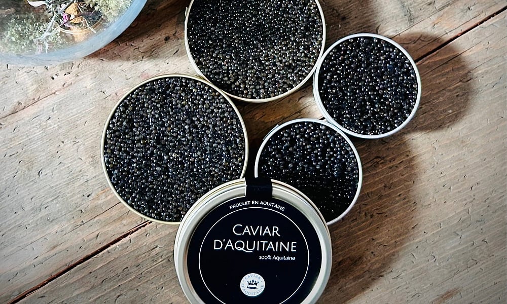 Premium French caviar producers first to adopt low-impact feed by BioMar