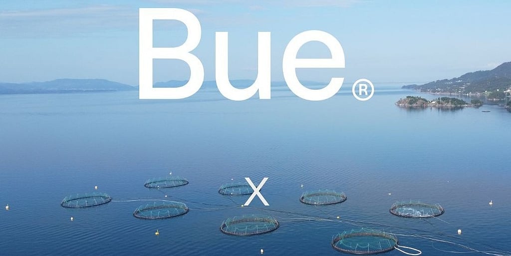 Bue Salmon and Bolaks Group sign three-year smolt deal - WeAreAquaculture