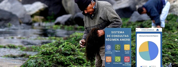 New Chilean app to consult shellfish and crustacean fishing areas data ...