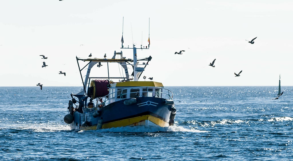 EU publishes annual fishing statistics for the first time