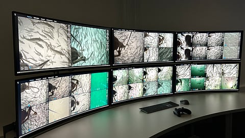 Bluefront Equity acquires Trondheim-based aquaculture software firm ...