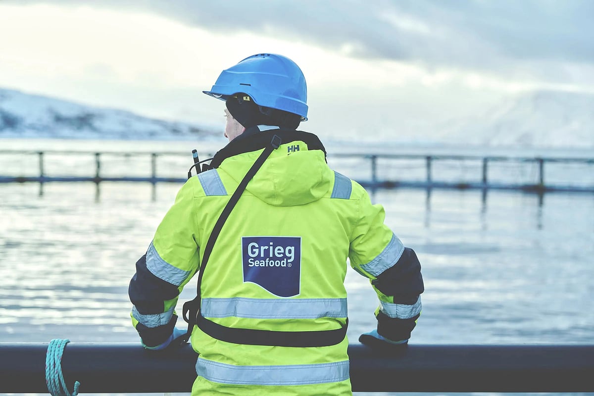 Grieg Seafood completes sale of Finnmark and Canada operations to Cermaq