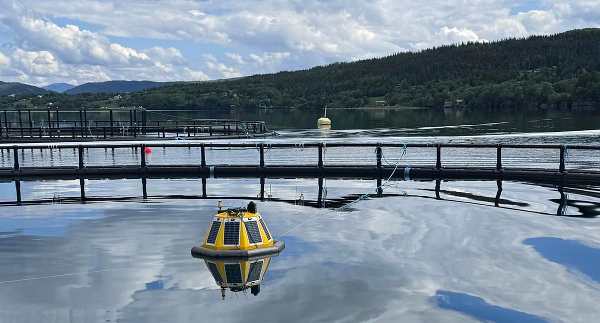 New Norwegian technology for real-time sea lice warnings