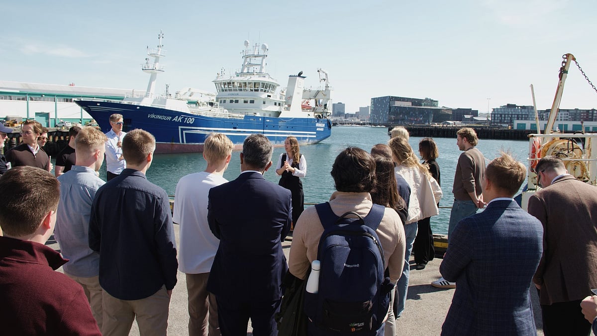 Iceland Ocean Cluster's fund names Lead of Global Ecosystem