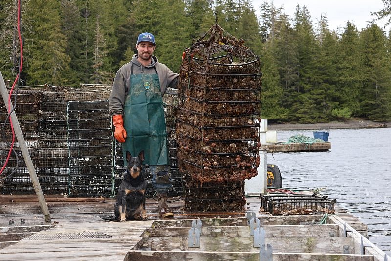 New marketing push to promote Alaska’s mariculture products