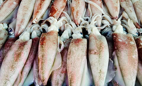 Stay Up to Date with the Latest Seafood Market News - Get the Latest ...