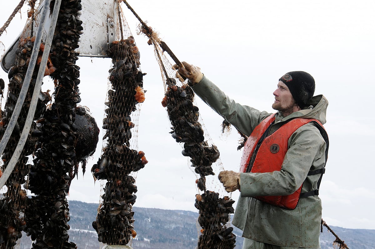 Nova Scotia develops a new mapping tool to support aquaculture growth