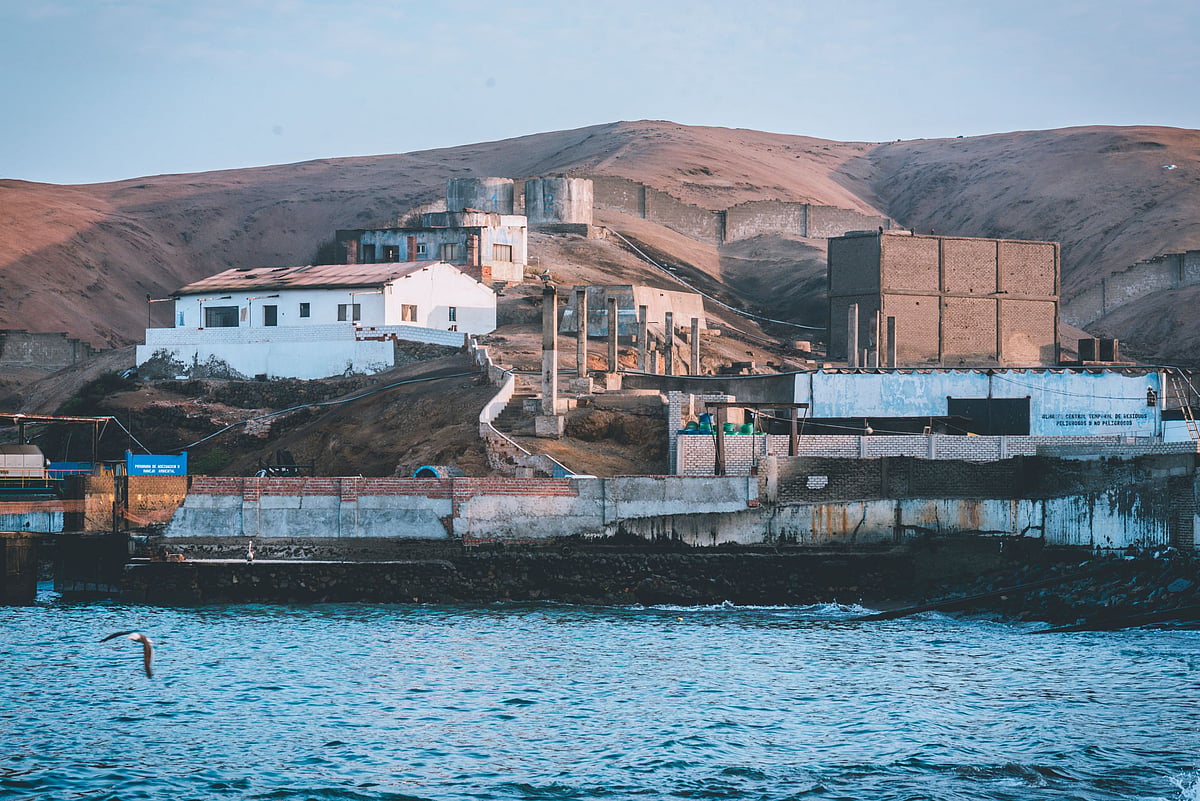 Fishmeal and fish oil production declined from January to May