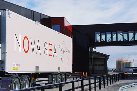 Nova Sea is now part of Mowi
