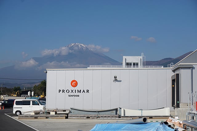 Proximar cuts 2026 harvest guidance after smaller fish hit Q1 revenues