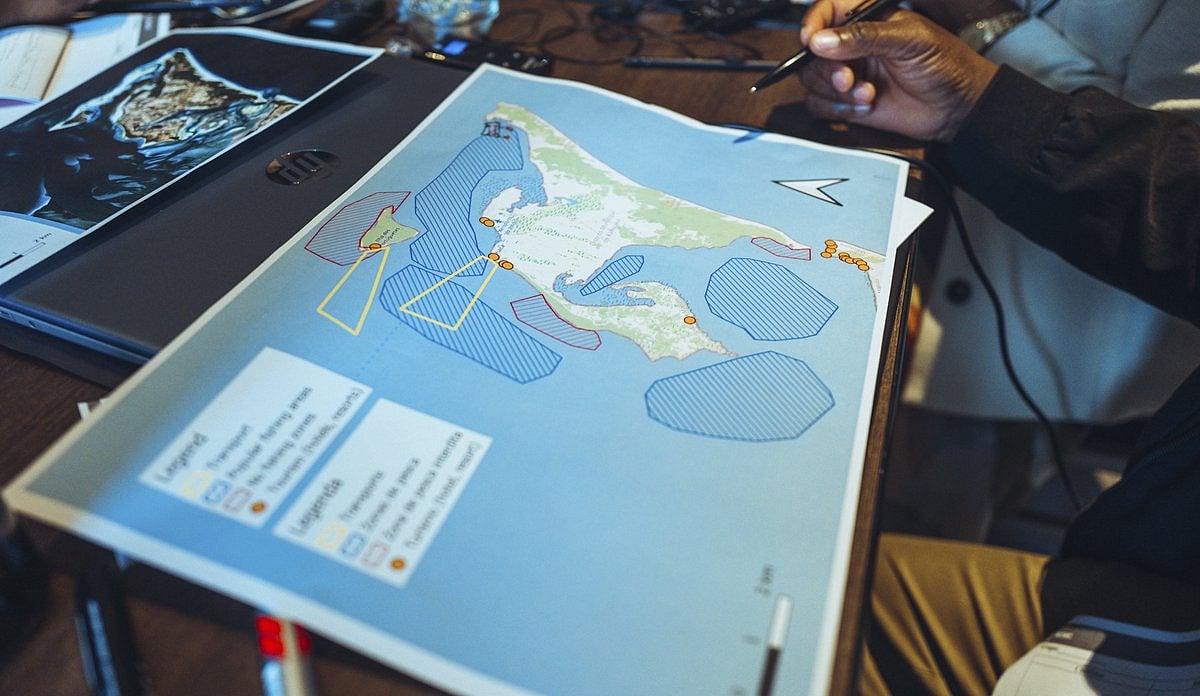 Norway collaborates with Mozambique on sustainable seaweed and green ...