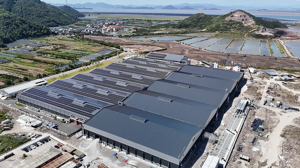 Nordic Aqua Partners met its harvest guidance for 2025