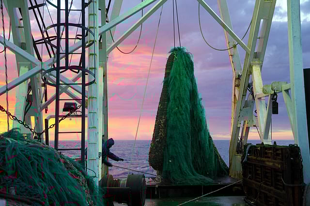 Europe invites Argentina to join its seafood certification platform ...