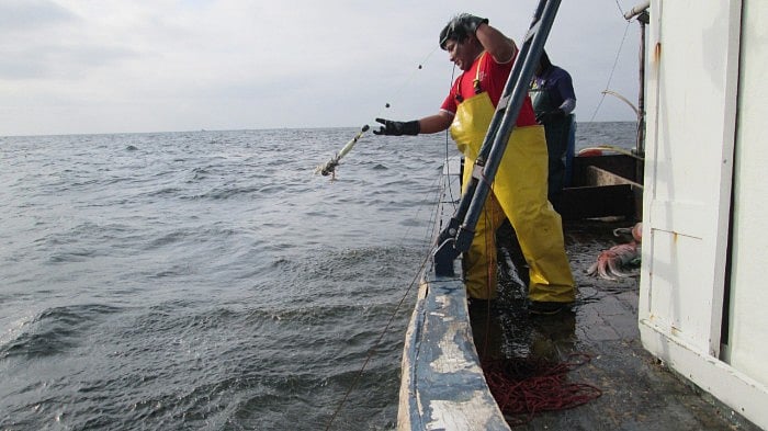 Peru strengthens control over jumbo flying squid fishery traceability ...