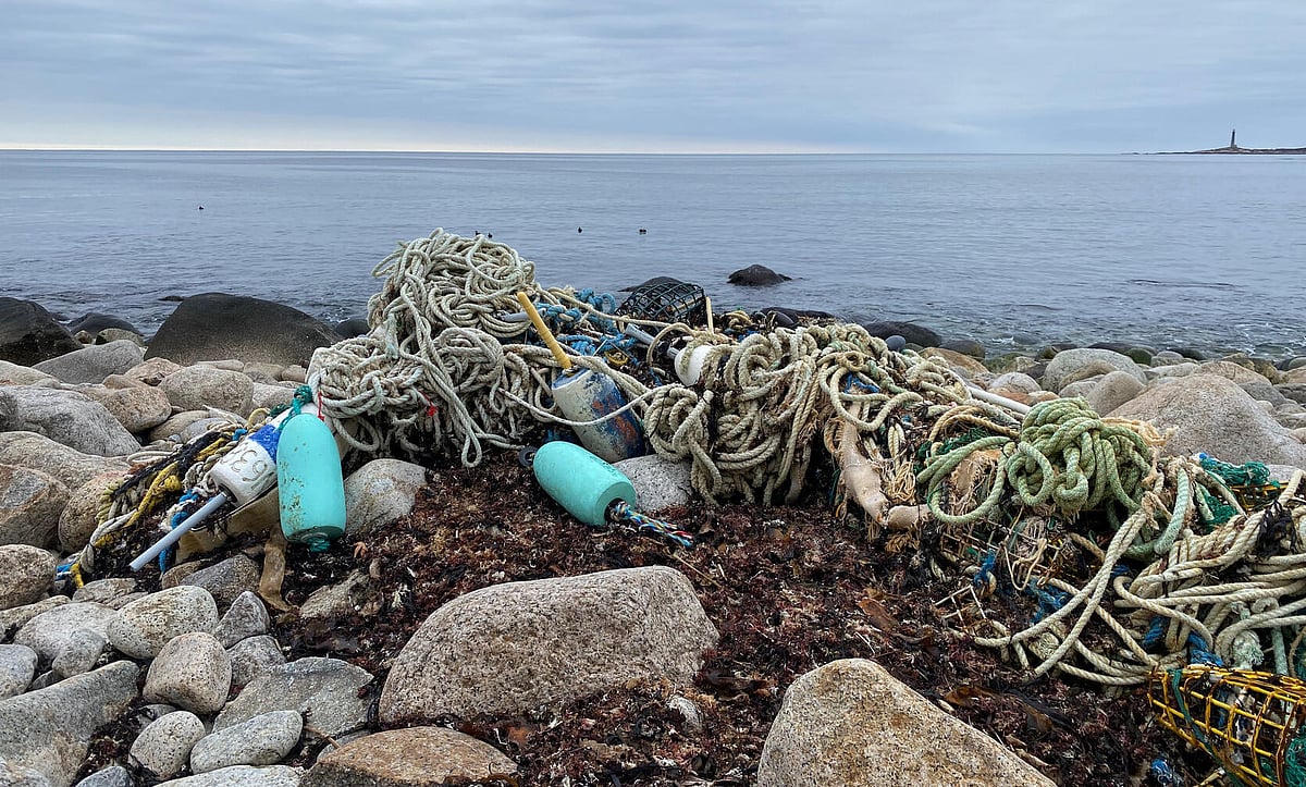 Massachusetts strengthens regulations to clean up fishing gear debris ...