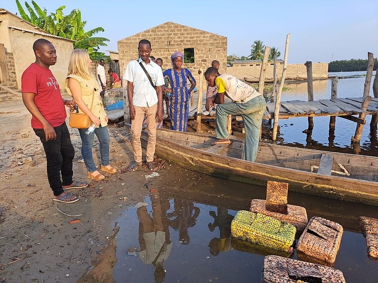 Spanish initiative boosts sustainable oyster farming in Benin ...
