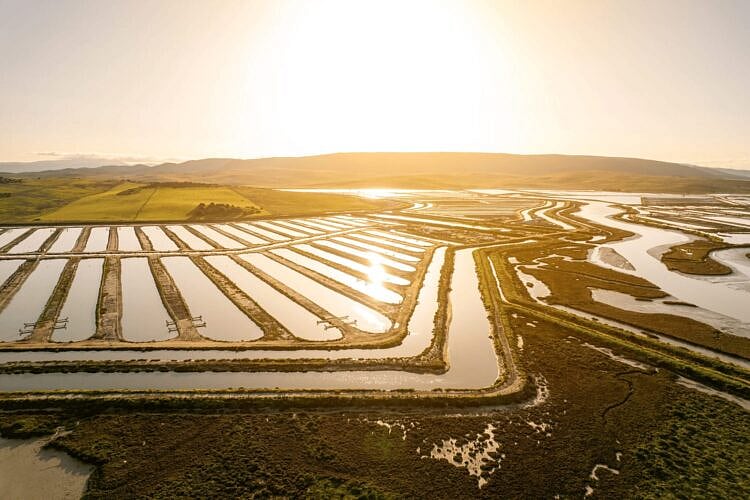 A Spanish farm, the first certified under ASC's new Farm Standard