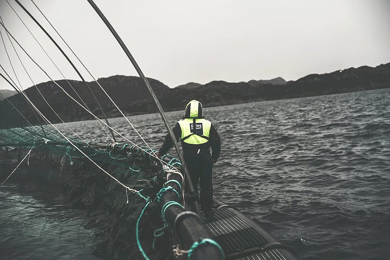 A difficult start to the year for Grieg Seafood