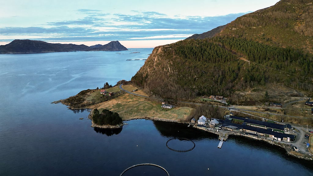 Ode to convert Mowi's facility to juvenile cod production