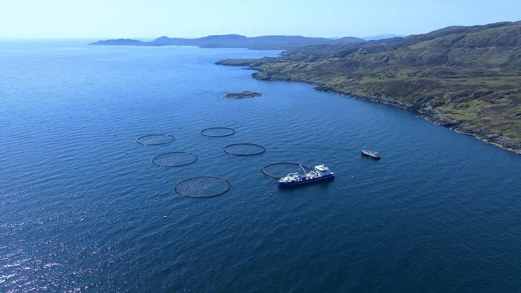 First salmon stocked at Mowi Scotland's new high-energy farm