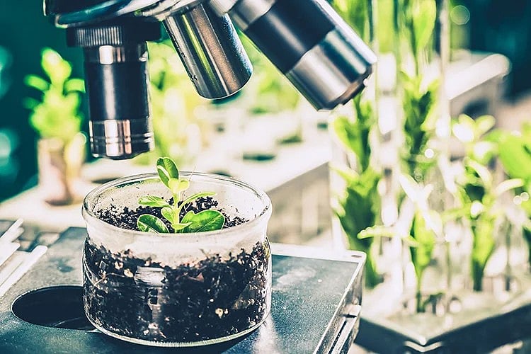 Skretting's plant-based functional fish feed now in Norway